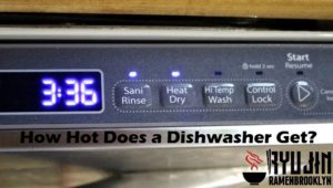 How Hot Does a Dishwasher Get? Dishwasher Temperature Guide